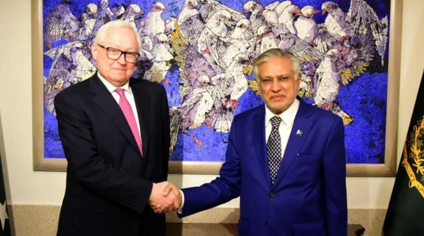 Pakistan, Russia to pursue long-term partnership in various fields ...